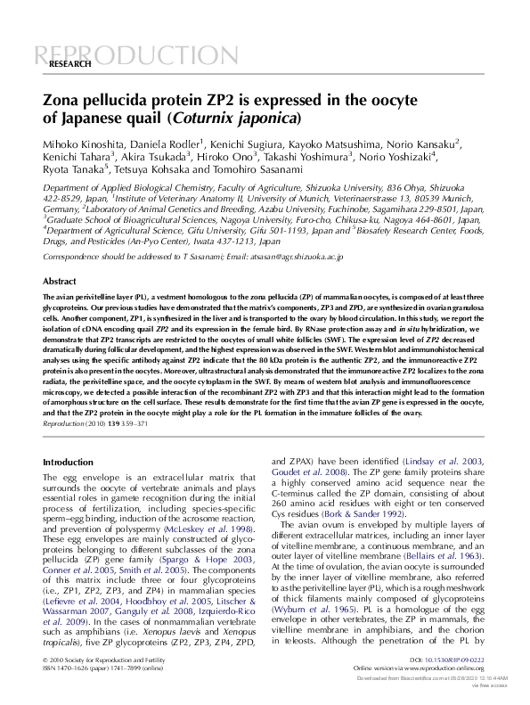 (PDF) Zona pellucida protein ZP2 is expressed in the oocyte of Japanese ...