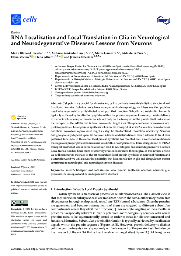 (PDF) RNA Localization and Local Translation in Glia in Neurological ...