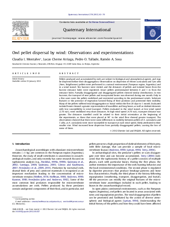 (PDF) Owl pellet dispersal by wind: Observations and experimentations ...