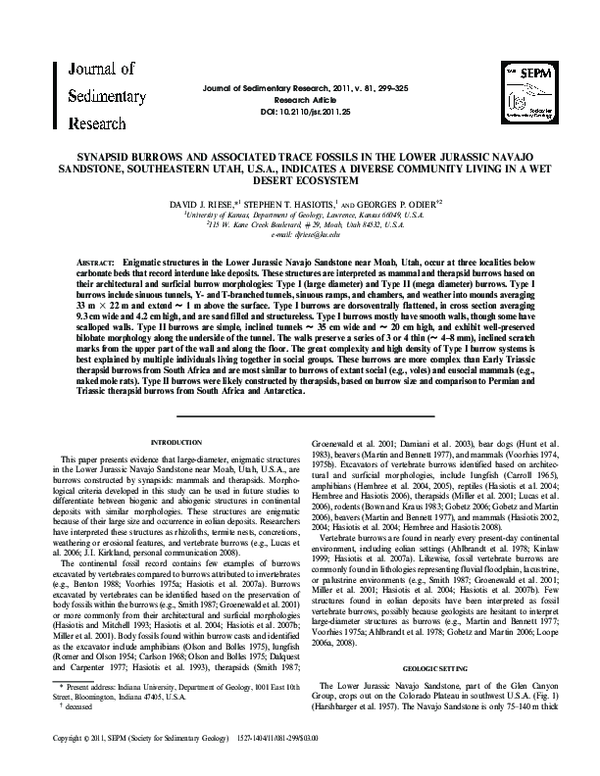 (PDF) Synapsid Burrows and Associated Trace Fossils in the Lower ...