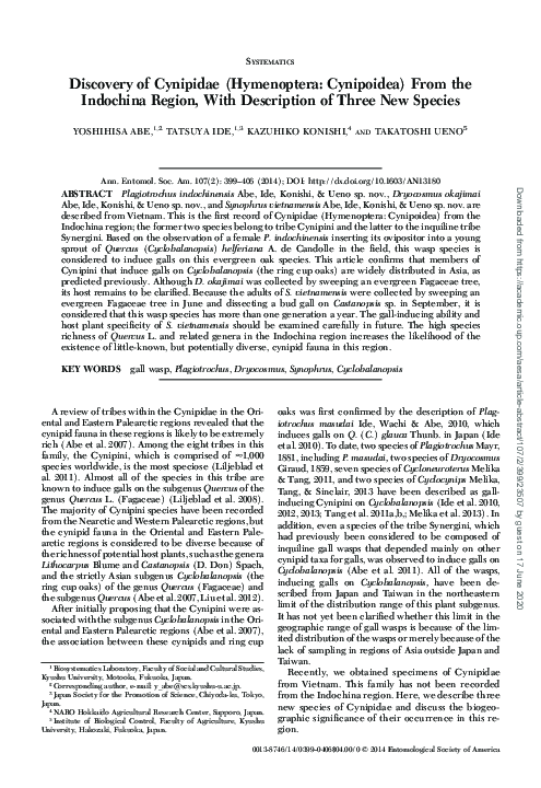 (PDF) Discovery of Cynipidae (Hymenoptera: Cynipoidea) From the ...