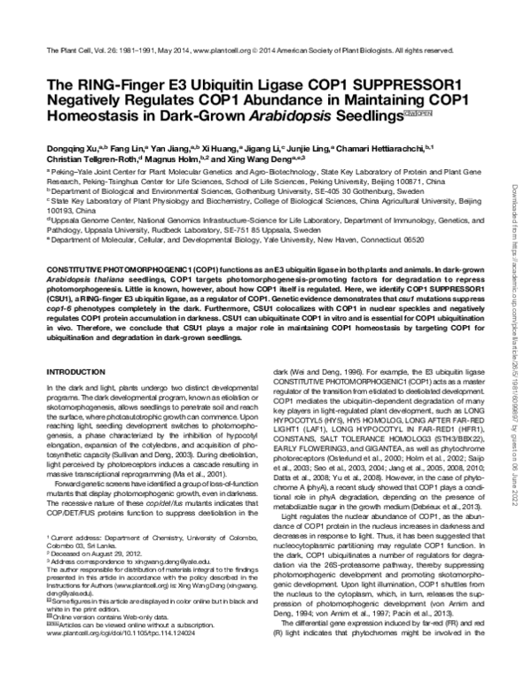 (PDF) The RING-Finger E3 Ubiquitin Ligase COP1 SUPPRESSOR1 Negatively ...