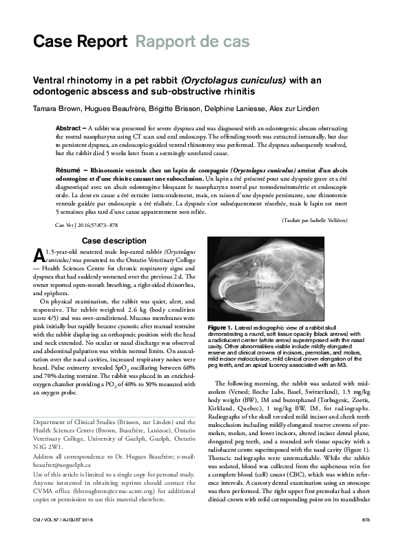 (PDF) Ventral rhinotomy in a pet rabbit (Oryctolagus cuniculus) with an ...
