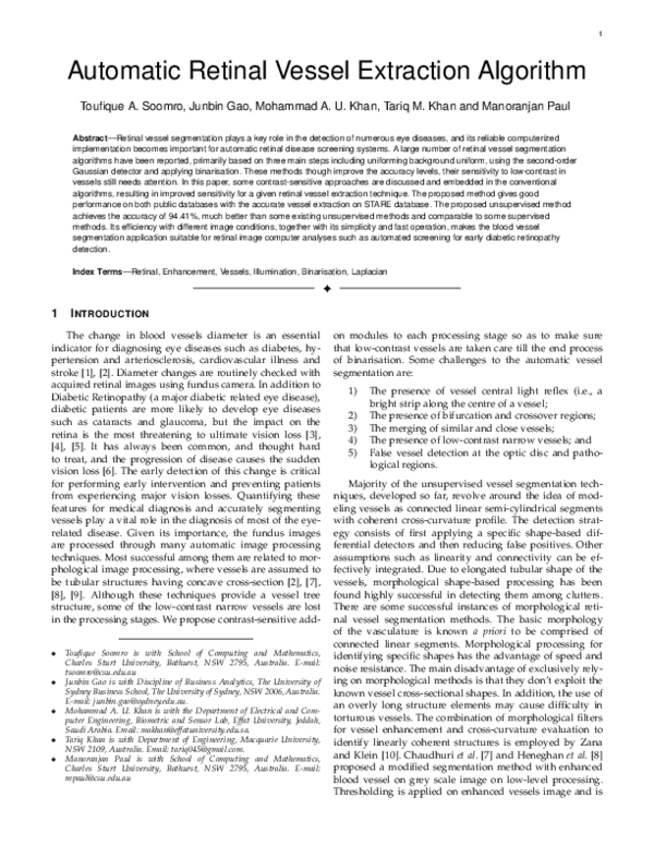 (PDF) Automatic Retinal Vessel Extraction Algorithm