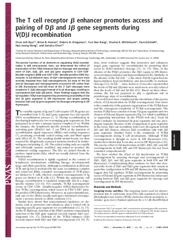 (PDF) The T cell receptor enhancer promotes access and pairing of D and ...