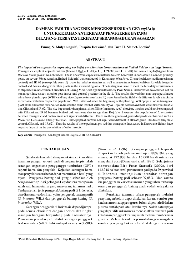 (PDF) Mulyaningsih et al. : Dampak Padi Transgenik Mengekspresikan Gen ...