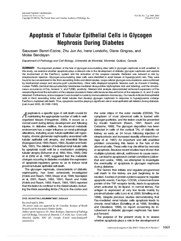 (PDF) Apoptosis of Tubular Epithelial Cells in Glycogen Nephrosis ...