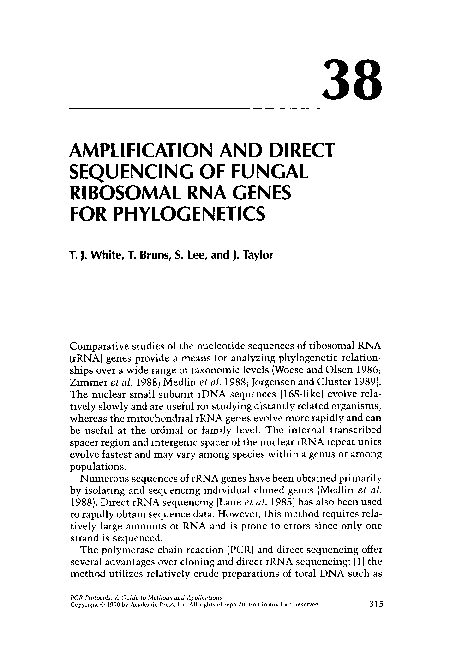 (PDF) Amplification and Direct Sequencing of Fungal Ribosomal Rna Genes for Phylogenetics
