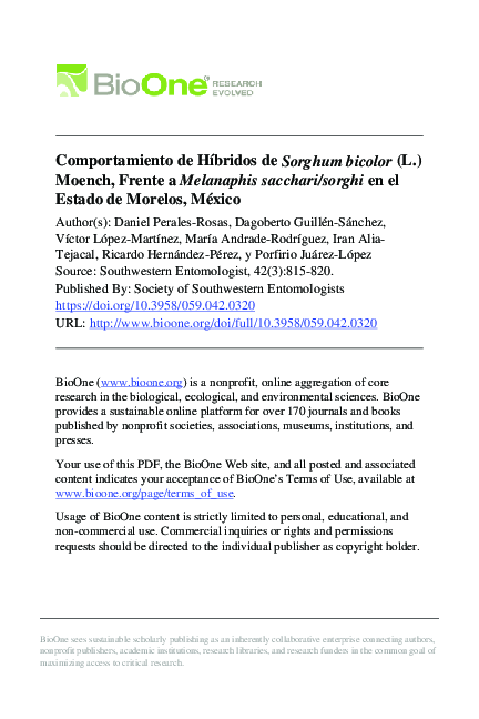 (PDF) Comportamiento de Híbridos de Sorghum bicolor (L.) Moench, Frente ...