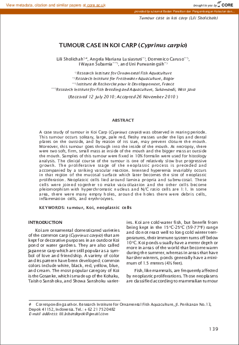 Pdf Tumour Case In Koi Carp Cyprinus Carpio