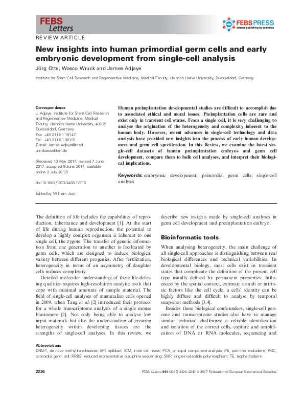 (PDF) New insights into human primordial germ cells and early embryonic ...