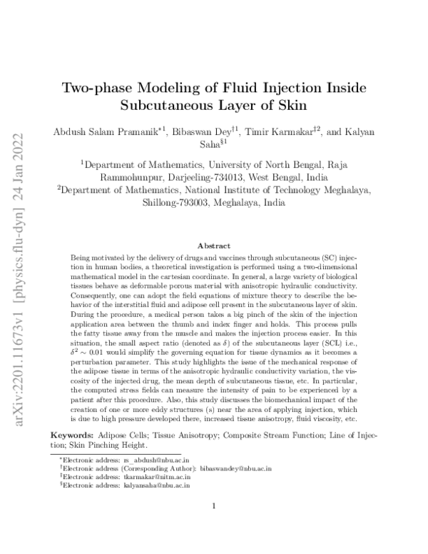 (PDF) Two-phase Modeling of Fluid Injection Inside Subcutaneous Layer ...