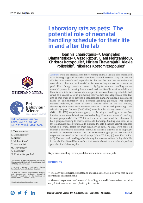 (PDF) Laboratory rats as pets: The potential role of neonatal handling ...