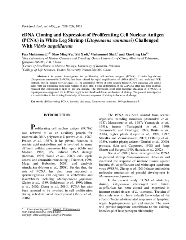 (PDF) cDNA Cloning and Expression of Proliferating Cell Nuclear Antigen (PCNA) in White Leg ...