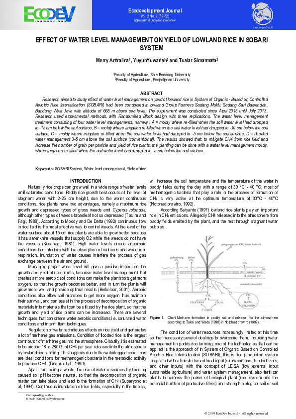 (PDF) Effect of Water Level Management on Yield of Lowland Rice in ...
