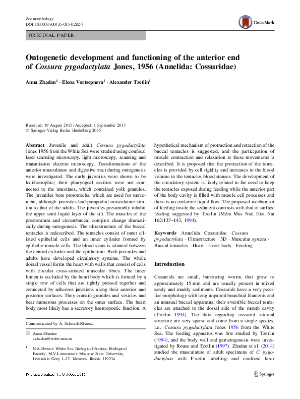 (PDF) Ontogenetic development and functioning of the anterior end of ...
