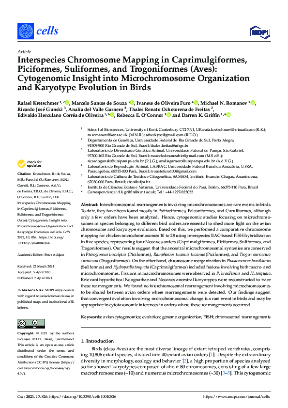 (PDF) Interspecies Chromosome Mapping in Caprimulgiformes, Piciformes ...