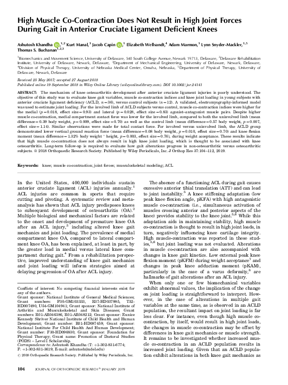 High muscle co‐contraction does not result in high joint forces during ...