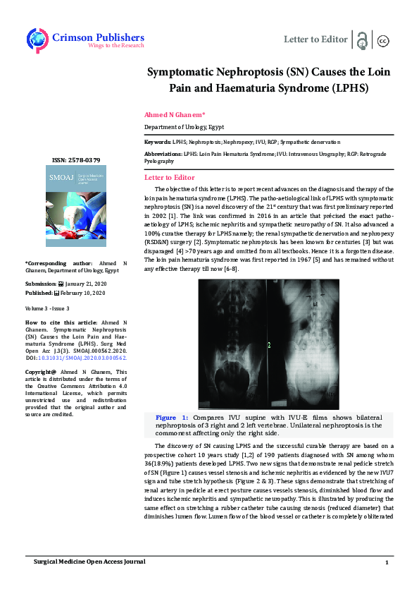 (PDF) Symptomatic Nephroptosis (SN) Causes the Loin Pain and Haematuria ...
