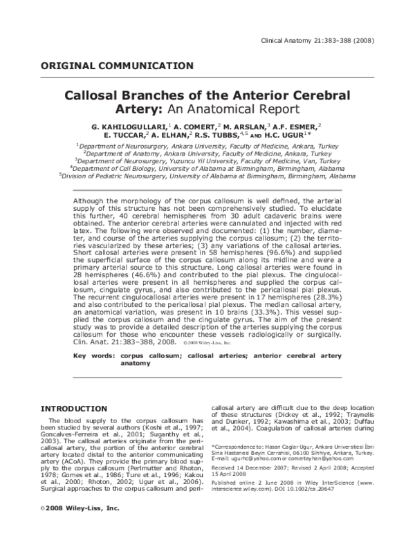 (PDF) Callosal branches of the anterior cerebral artery: An anatomical ...
