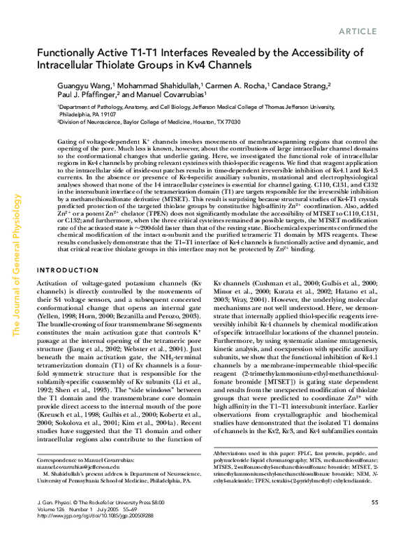 (PDF) Are all nucleus spherical at the drip line?