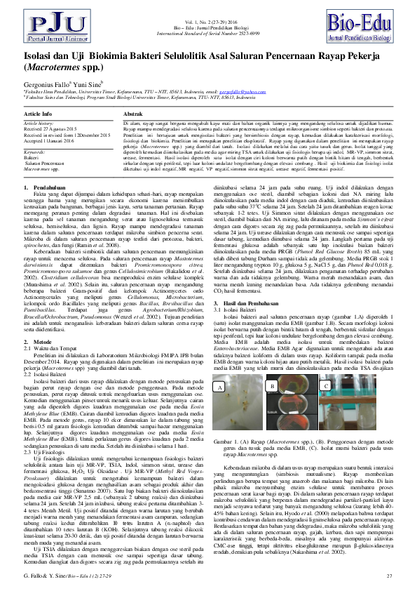 (PDF) Isolasi dan Uji Biokimia Bakteri Selulolitik Asal Saluran ...