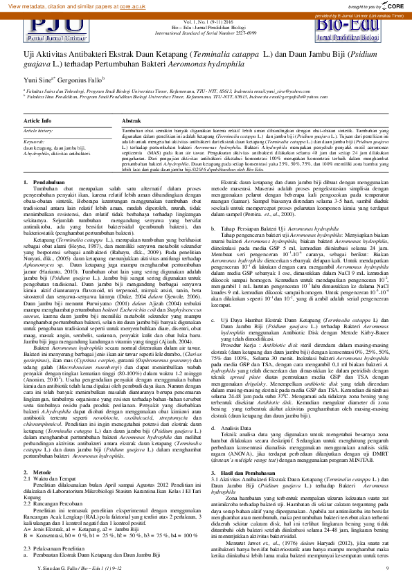 (PDF) Uji Aktivitas Antibakteri Ekstrak Daun Ketapang (Terminalia catappa L.) dan Daun Jambu ...