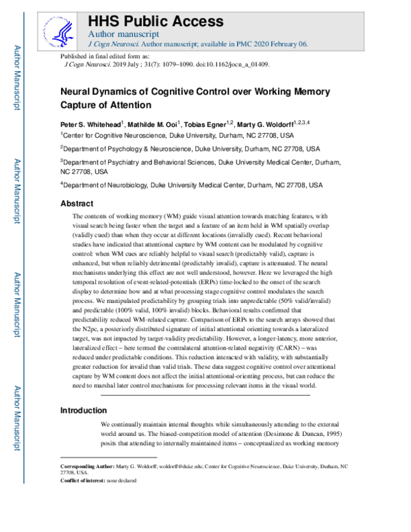 (PDF) Neural Dynamics of Cognitive Control over Working Memory Capture of Attention | Marty ...