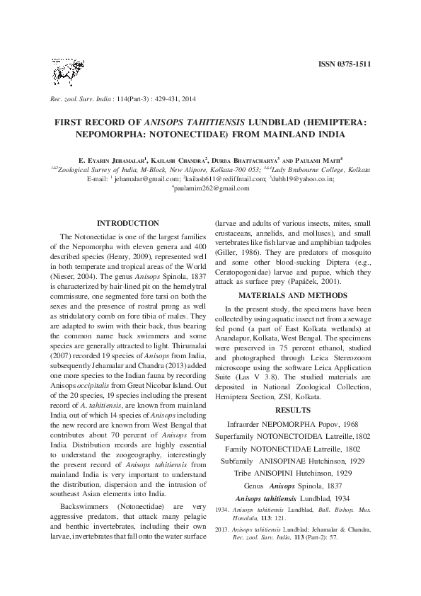 (PDF) First Record of Anisops Tahitiensis Lundblad (Hemiptera ...