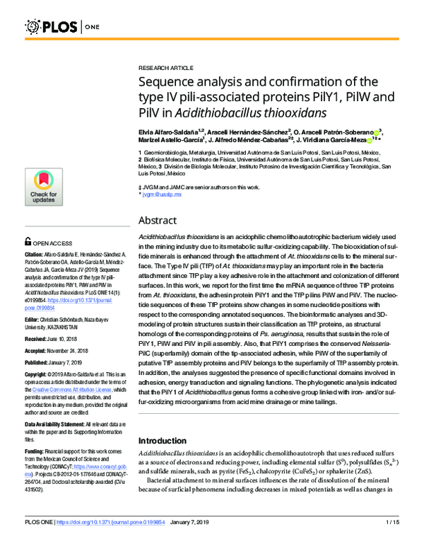 (PDF) Sequence analysis and confirmation of the type IV pili-associated ...