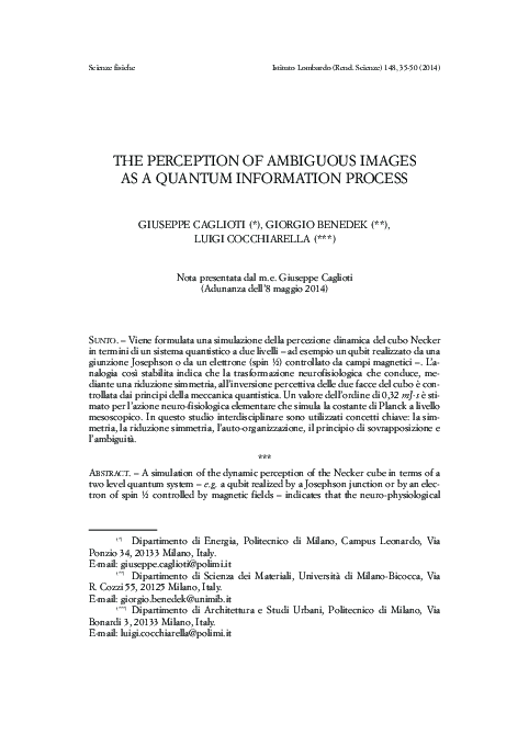 (PDF) The Perception of Ambiguous Images as a Quantum Information Process