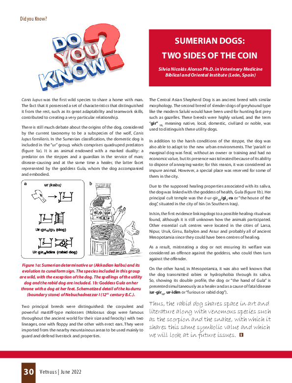 (PDF) Sumerian dogs: two sides of the coin