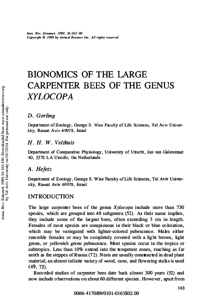 (PDF) Bionomics Of The Large Carpenter Bees Of The Genus Xylocopa