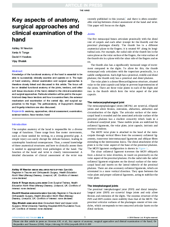(PDF) Key aspects of anatomy, surgical approaches and clinical ...