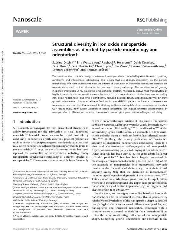 (PDF) Structural diversity in iron oxide nanoparticle assemblies as ...