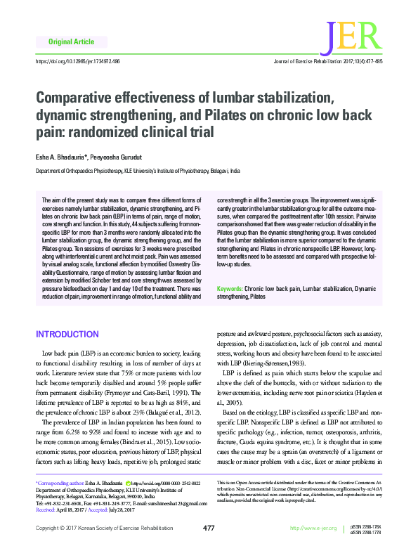 (PDF) Comparative effectiveness of lumbar stabilization, dynamic ...
