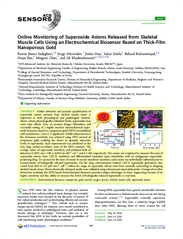 (PDF) Online Monitoring of Superoxide Anions Released from Skeletal ...