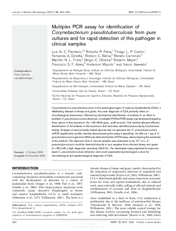 (PDF) Multiplex PCR assay for identification of Corynebacterium pseudotuberculosis from pure ...