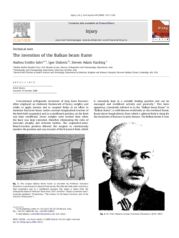(PDF) The invention of the Balkan beam frame | Andrea Salvi - Academia.edu