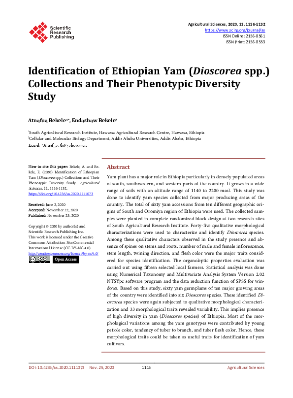 (PDF) Identification of Ethiopian Yam (Dioscorea spp.) Collections and ...