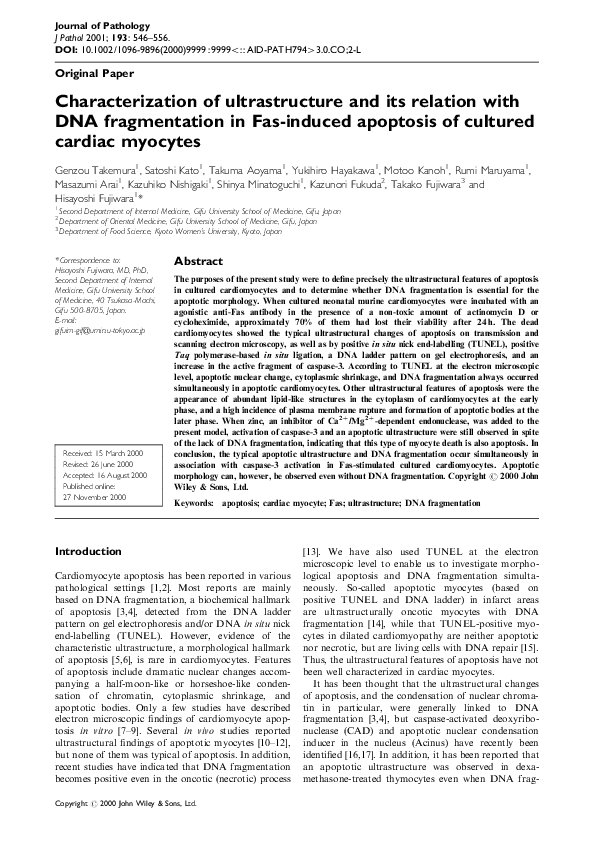 (PDF) Characterization of ultrastructure and its relation with DNA ...