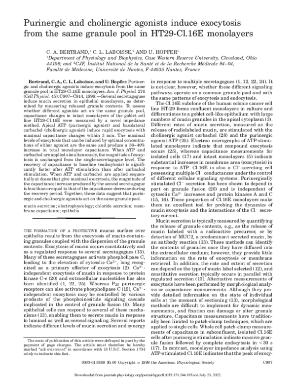 (PDF) Purinergic and cholinergic agonists induce exocytosis from the ...