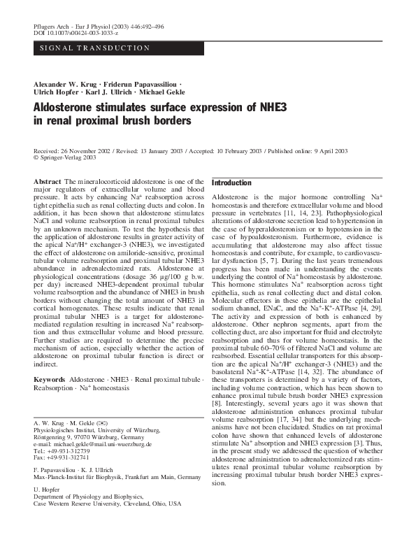 (PDF) Aldosterone stimulates surface expression of NHE3 in renal ...