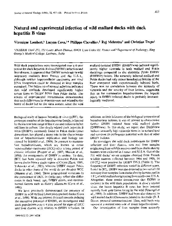 (PDF) Natural and experimental infection of wild mallard ducks with ...