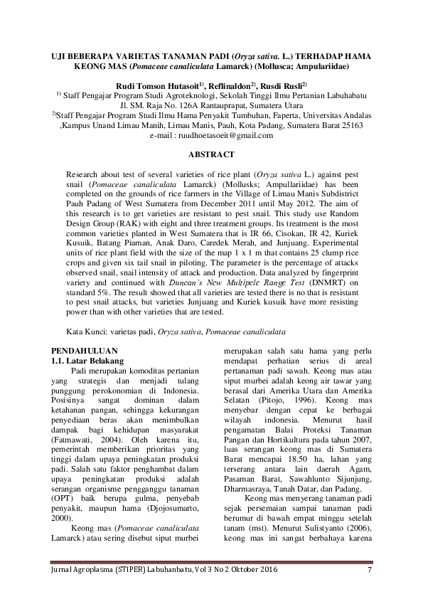 (PDF) UJI BEBERAPA VARIETAS TANAMAN PADI (Oryza sativa. L.) TERHADAP ...