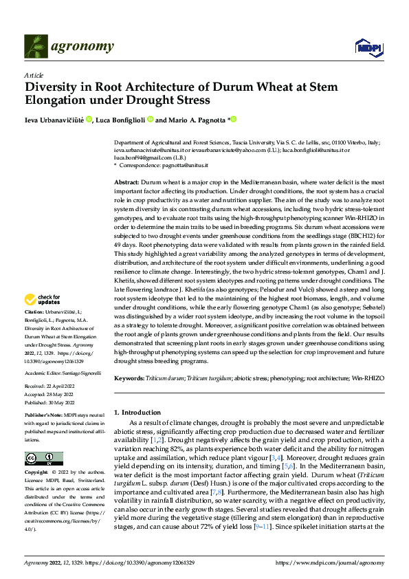 Pdf Diversity In Root Architecture Of Durum Wheat At Stem Elongation