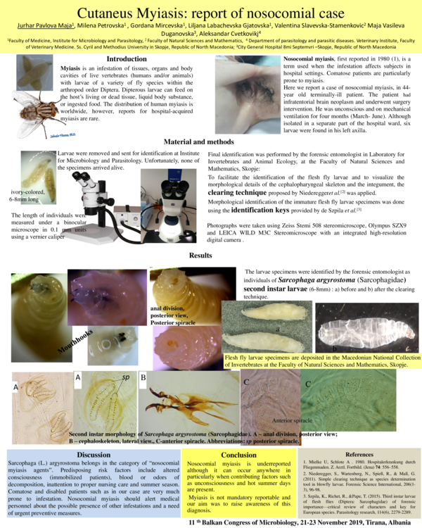 (PDF) Cutaneus Myiasis: report of nosocomial case