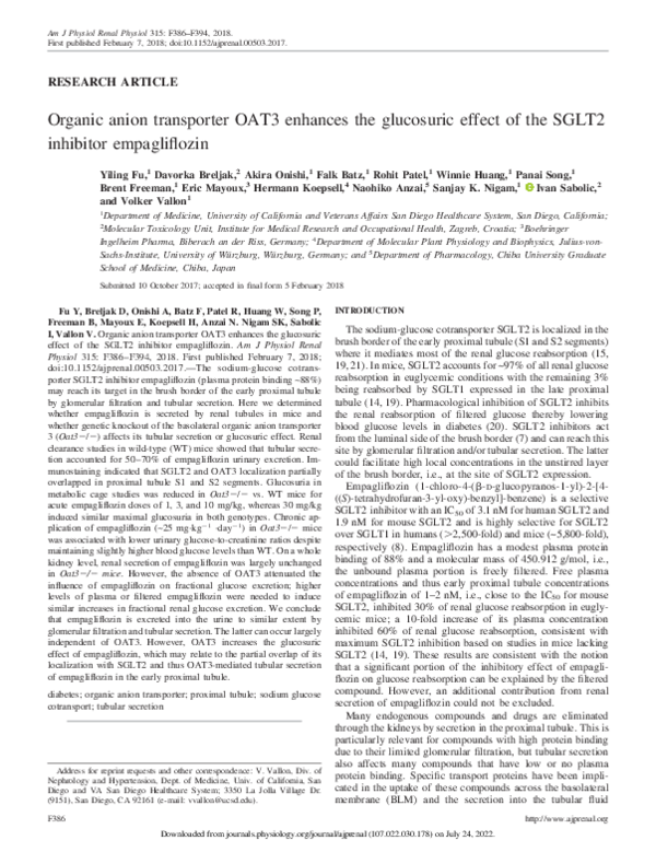 (PDF) The organic anion transporter OAT3 enhances the glucosuric effect ...