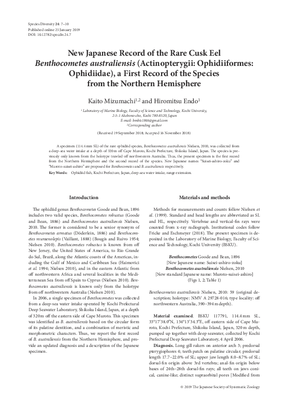 (PDF) New Japanese Record of the Rare Cusk Eel Benthocometes ...