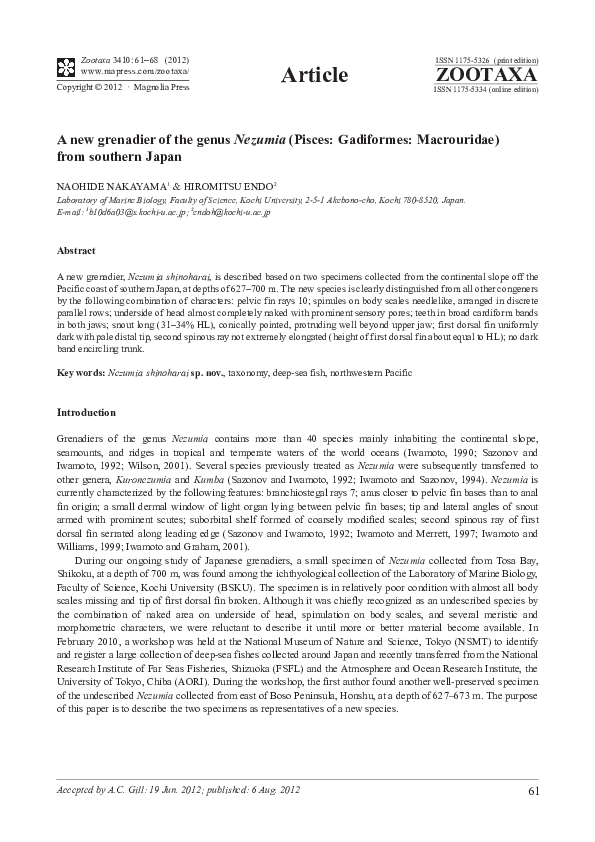 (PDF) A new grenadier of the genus Nezumia (Pisces: Gadiformes ...